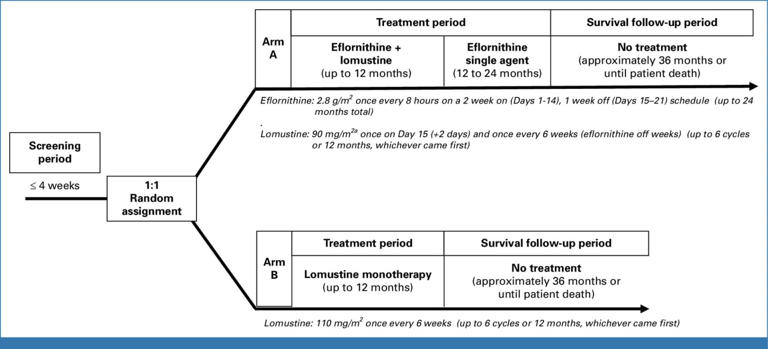 New drug combination boosts life expectancy from grade 3 brain tumors ...