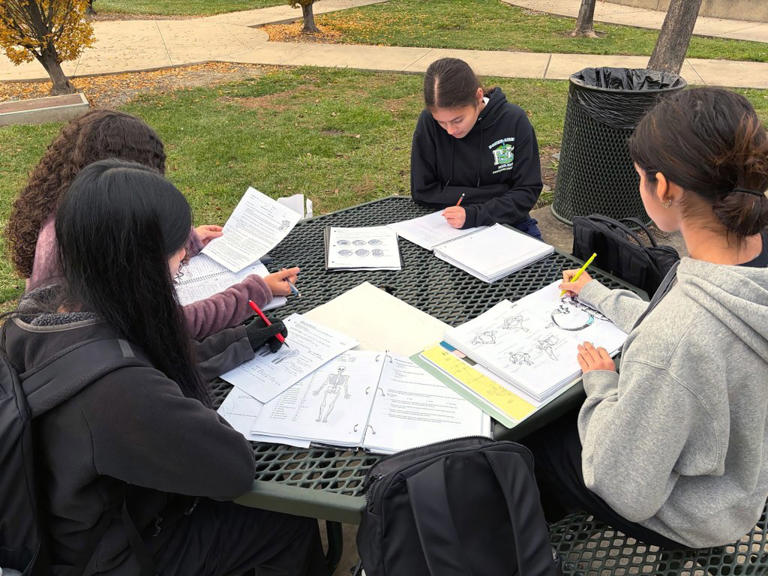 Passing the stress test: December packed with pressure for many high ...