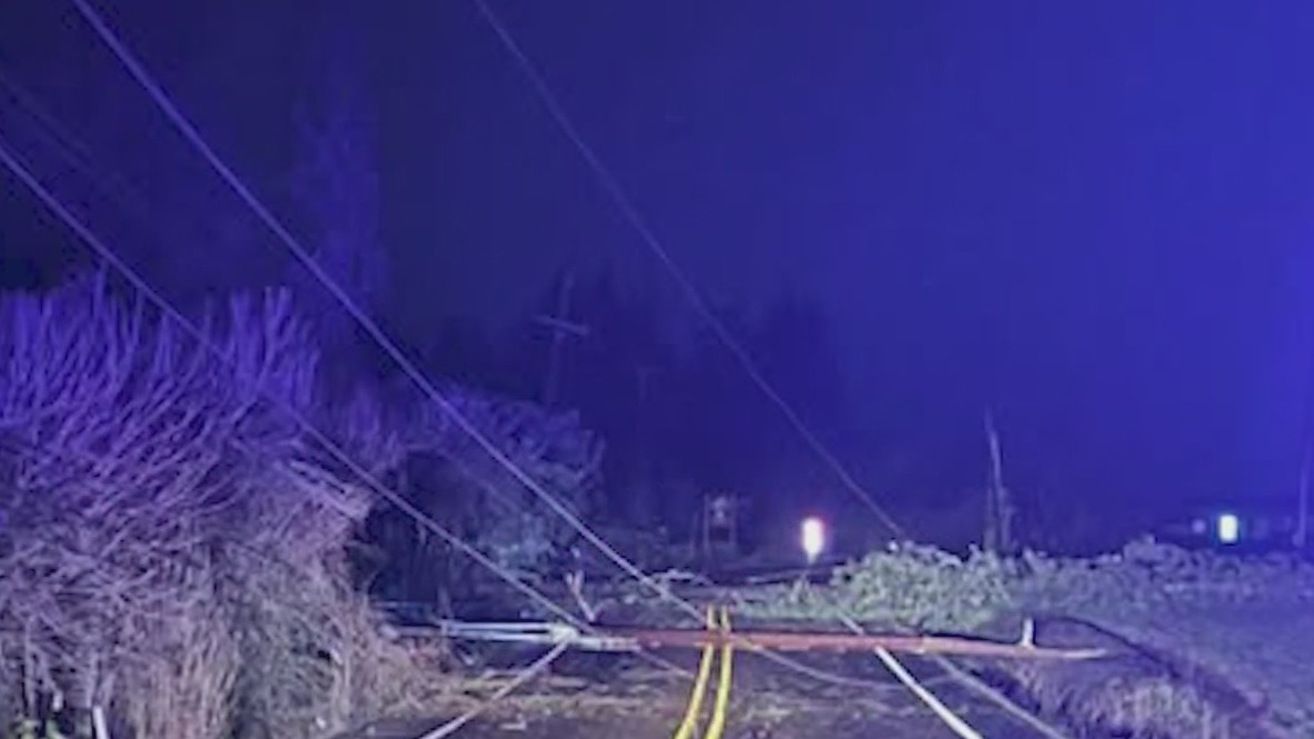 Powerful wind storm damages trees, power lines around region