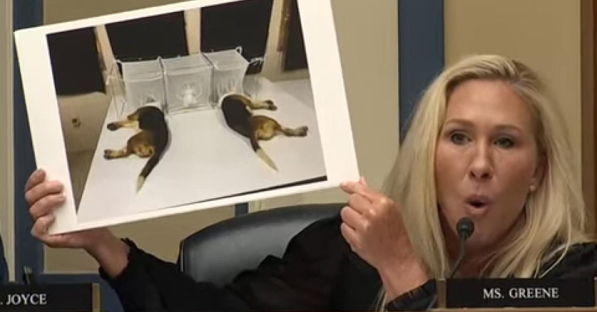 Senate unanimously approves bill to 'replace outdated animal testing ...