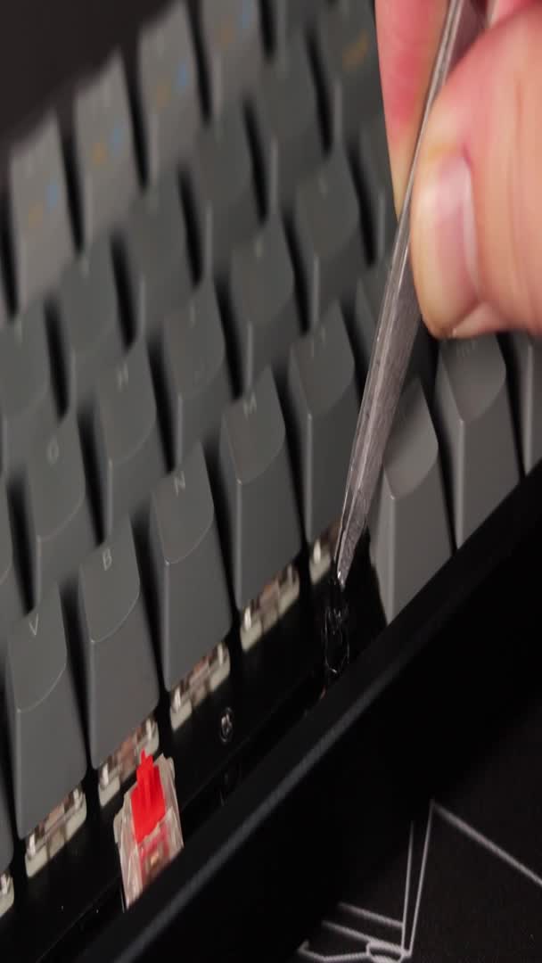 Learn how to select the best mechanical keyboard that suits your needs ...