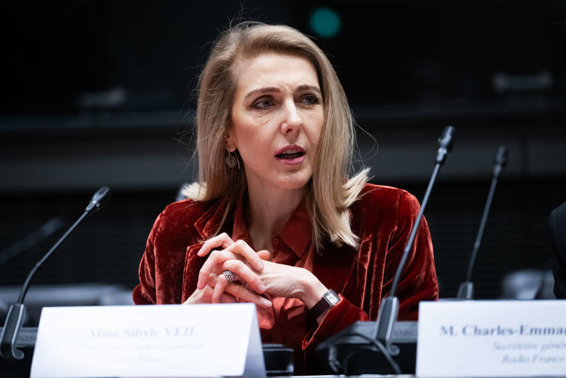 Commission d’enquête parlementaire sur l’audiovisuel public : la ...
