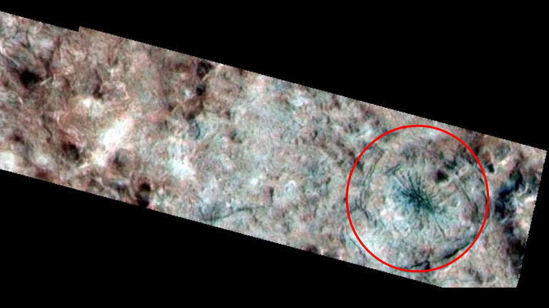 Spiders on Jupiter? Scientists uncover secret origins of arachnid-like ...