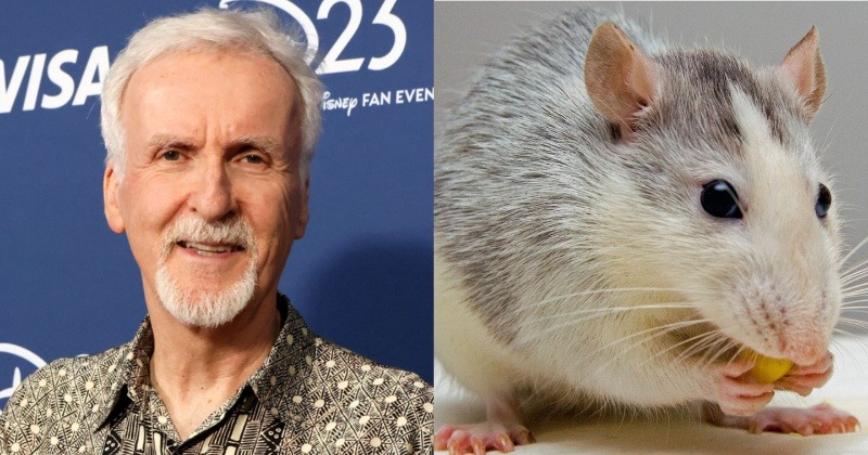 James Cameron reveals he saved a rat using CPR during The Abyss shoot ...