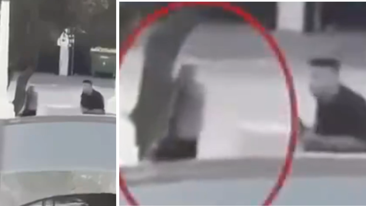 Meet Cesar Barraza: Australian cop who killed Bondi Beach shooter Sajid Akram from 40 metres ...