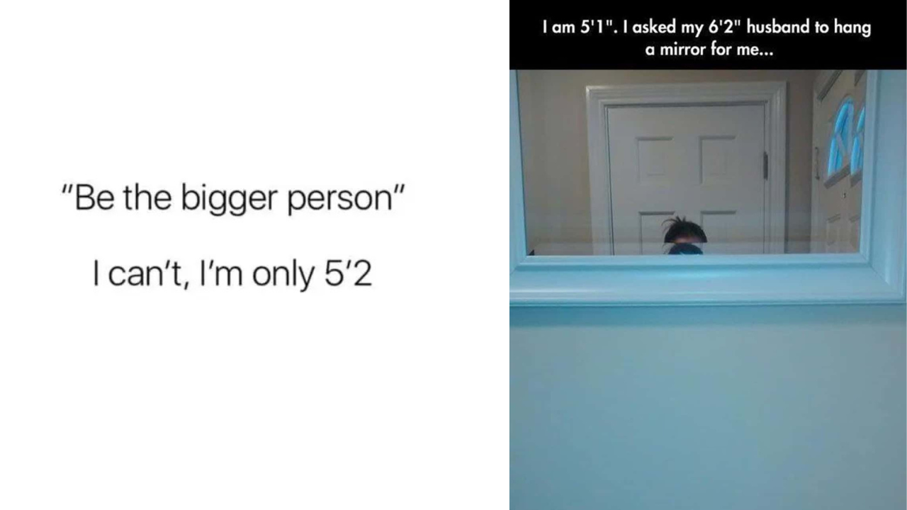 30 short people memes for anyone under average height