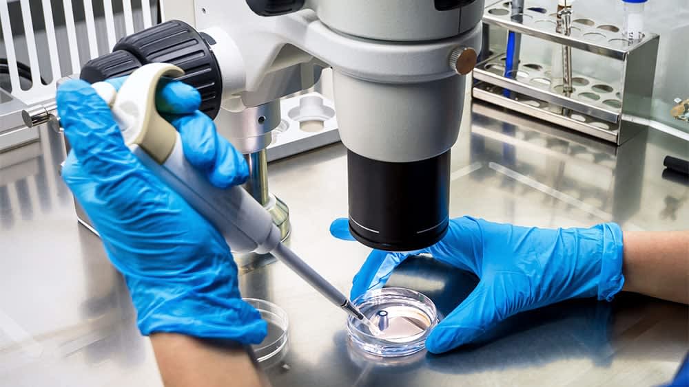 DBV launches, up as much as 46%, on a new approach to peanut allergy