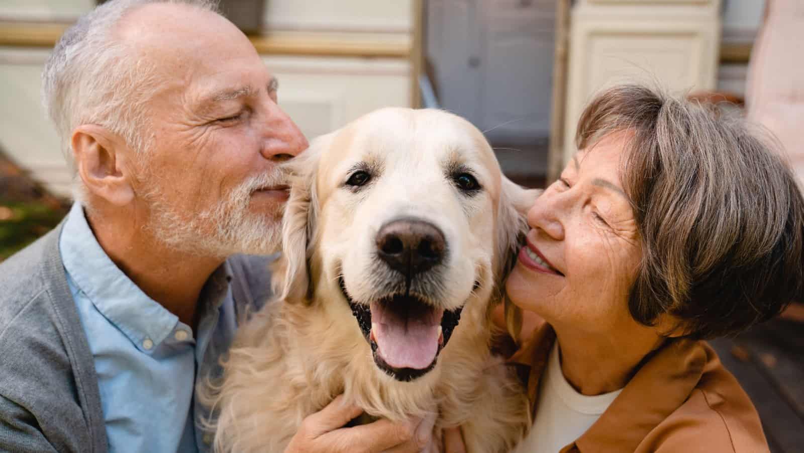 11 hobbies that generate income in retirement