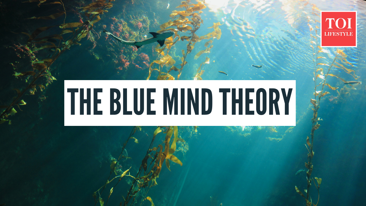 What is the blue mind theory and how you can harness its benefits