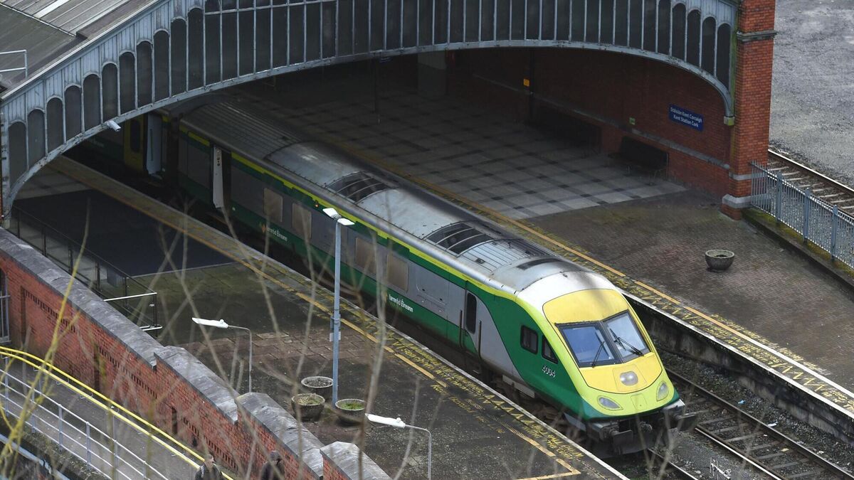 Efforts to implement UN disability policy 'window dressing' as disabled ...