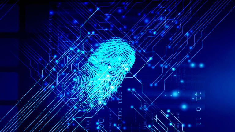 Incognito mode is not enough: How to truly delete all browsing traces