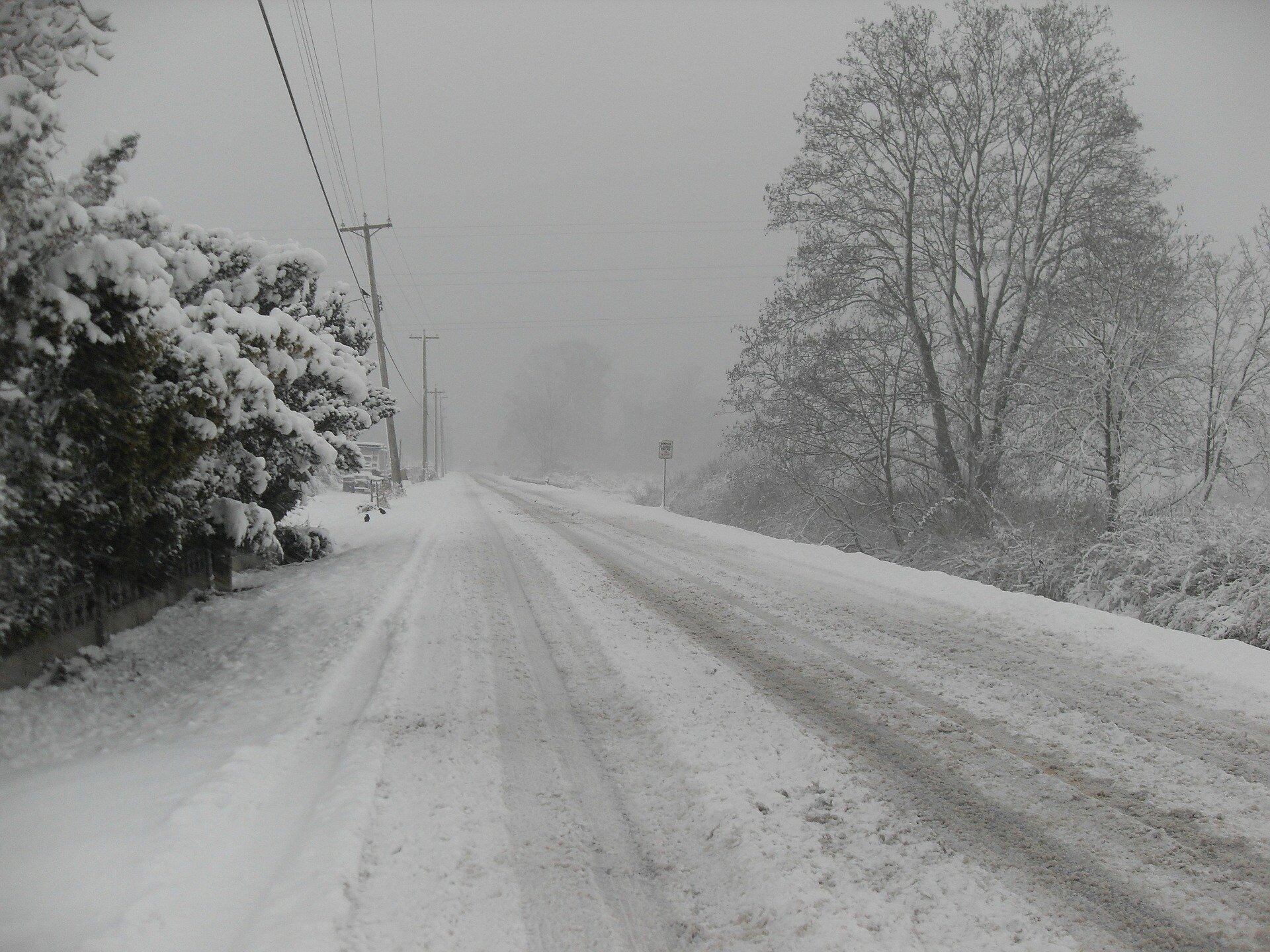 Good question: Why is it always 'snow quiet' when it snows?
