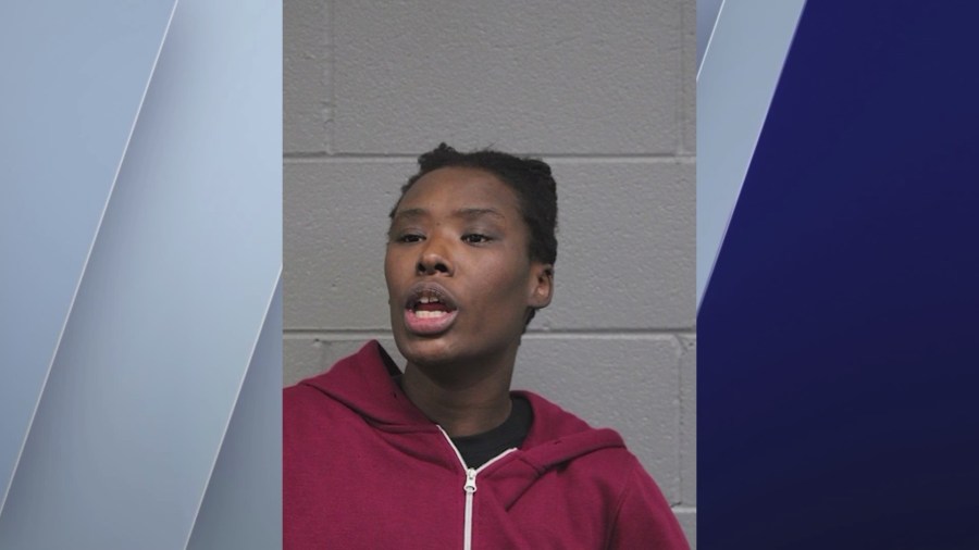 Chicago woman charged with multiple felonies for allegedly attacking 4 ...