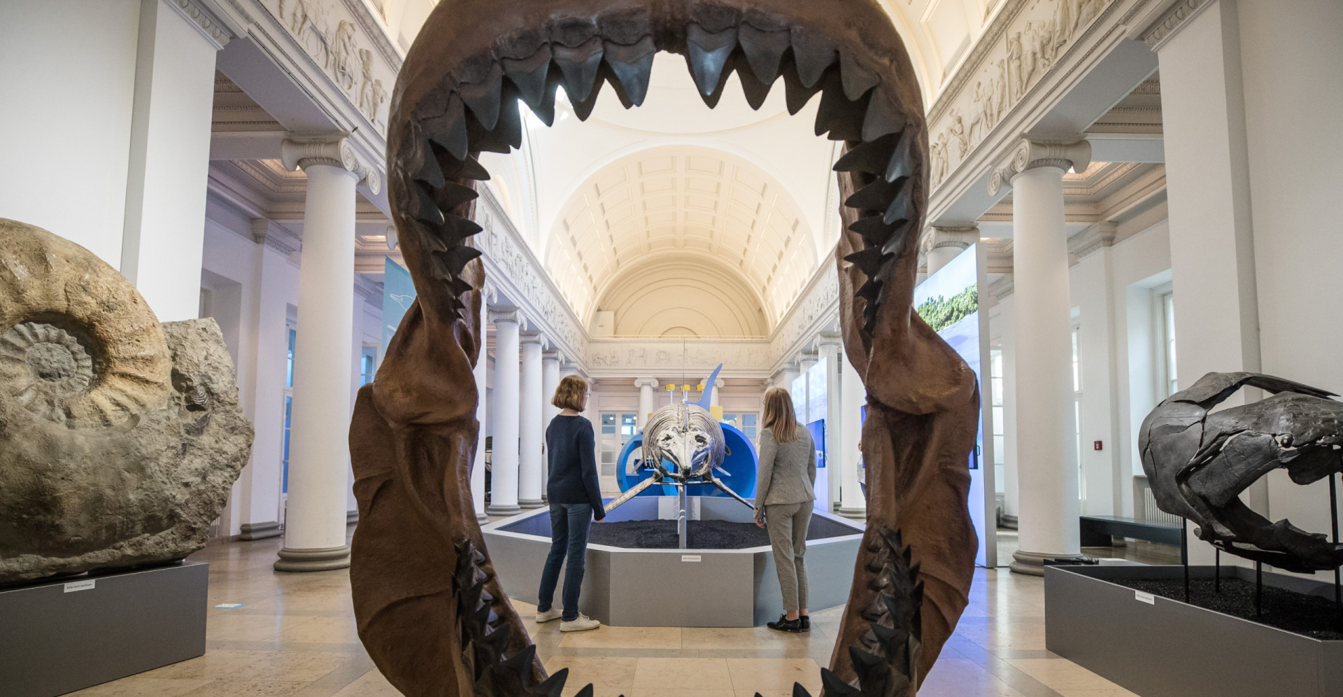 The history of mass extinction events on Earth