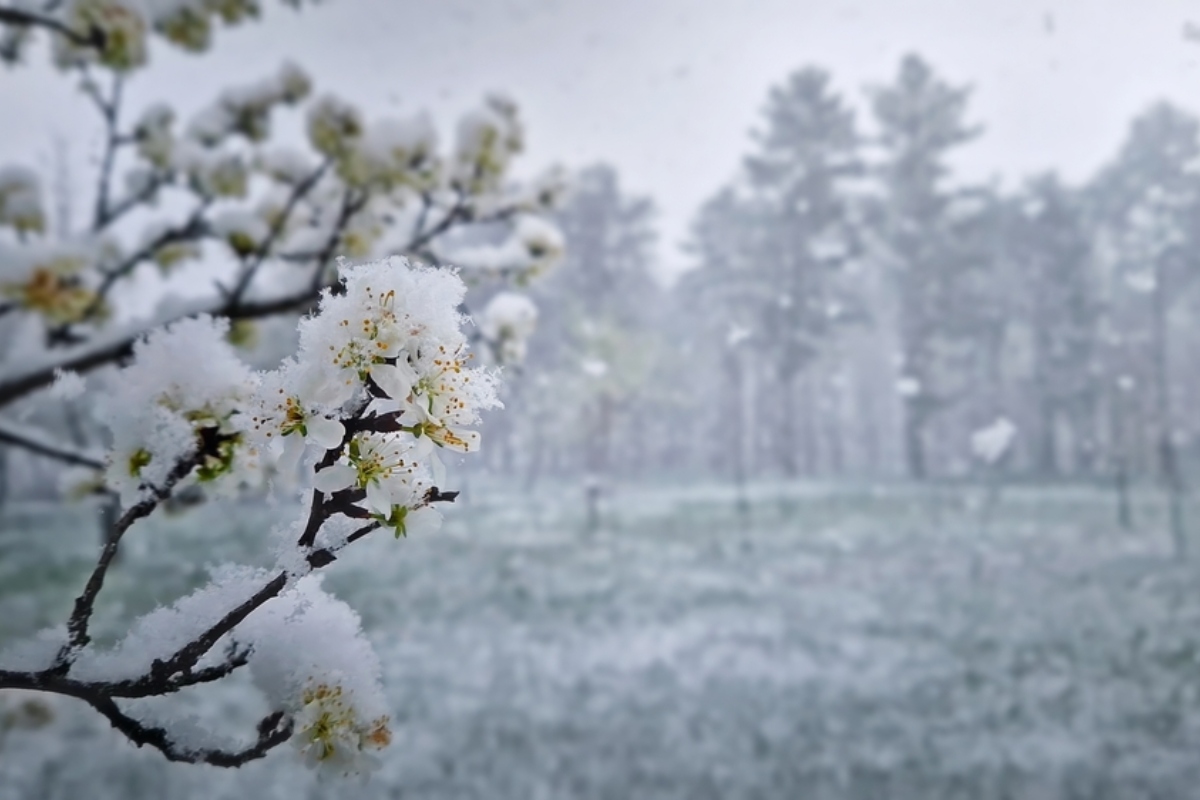 Tormenta invernal amenaza el arranque de los viajes navideños en el ...