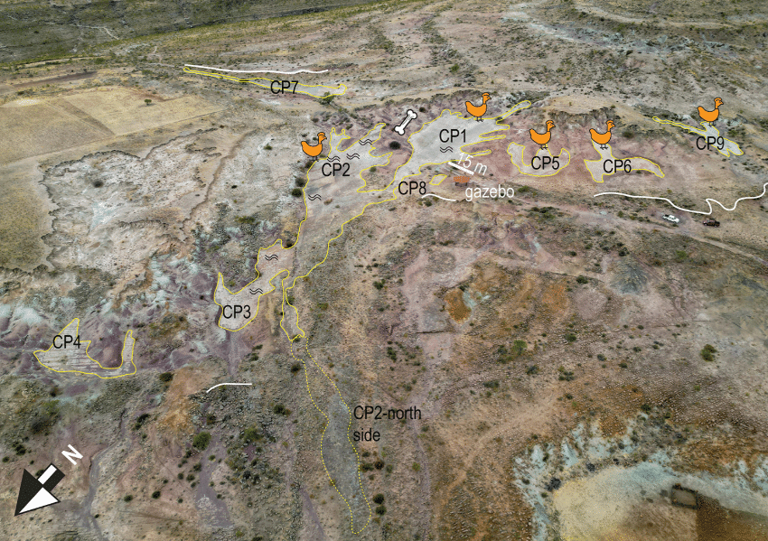 Archaeologists uncover origins of 18,000 ancient ‘ghost tracks’ that lay hidden for 70 million years