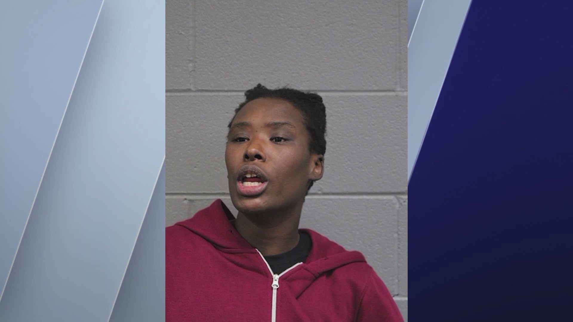 Chicago woman charged with multiple felonies for allegedly attacking 4 ...