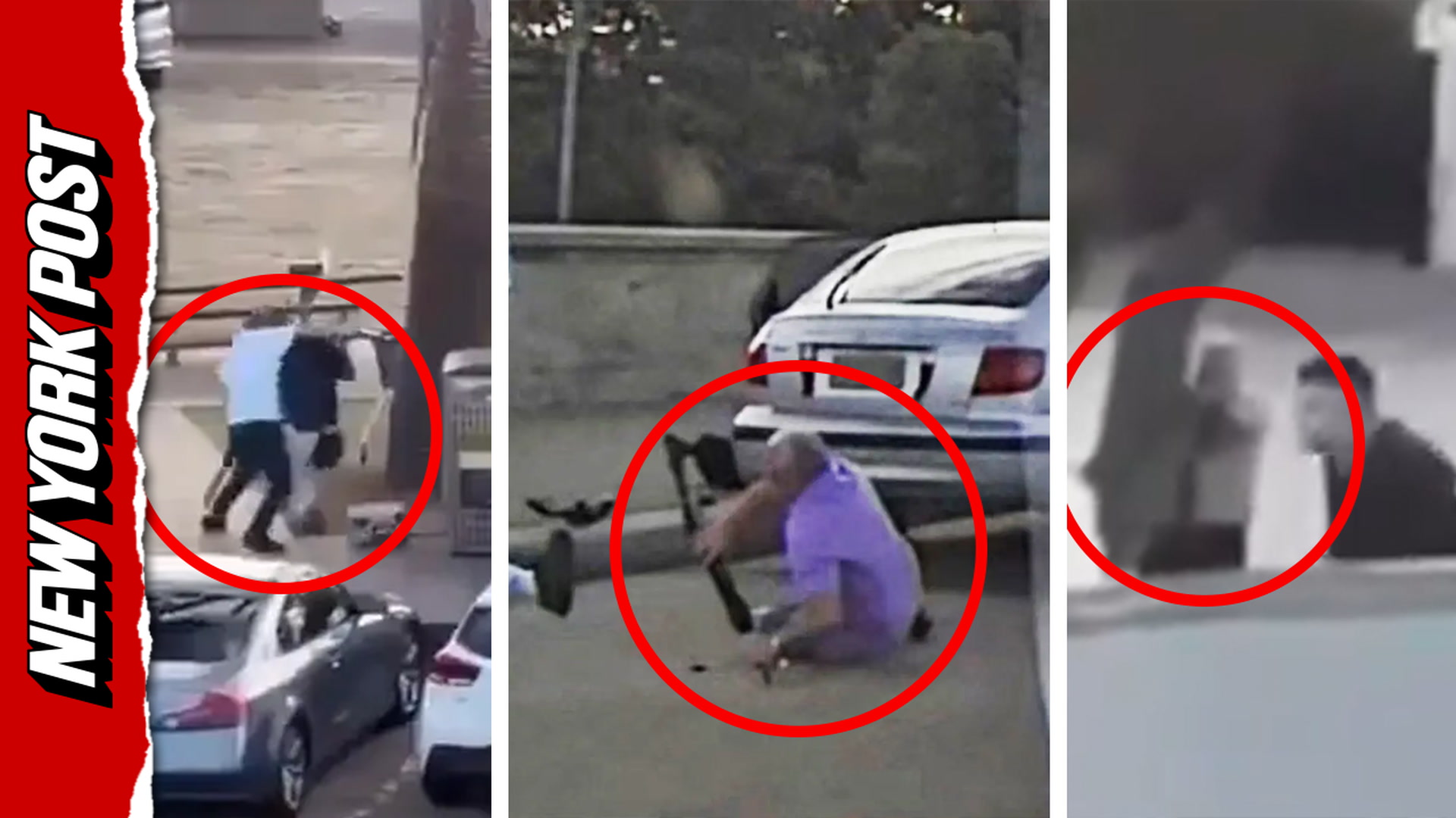 These heroes helped stop the maniac terrorists during the Bondi Beach ...