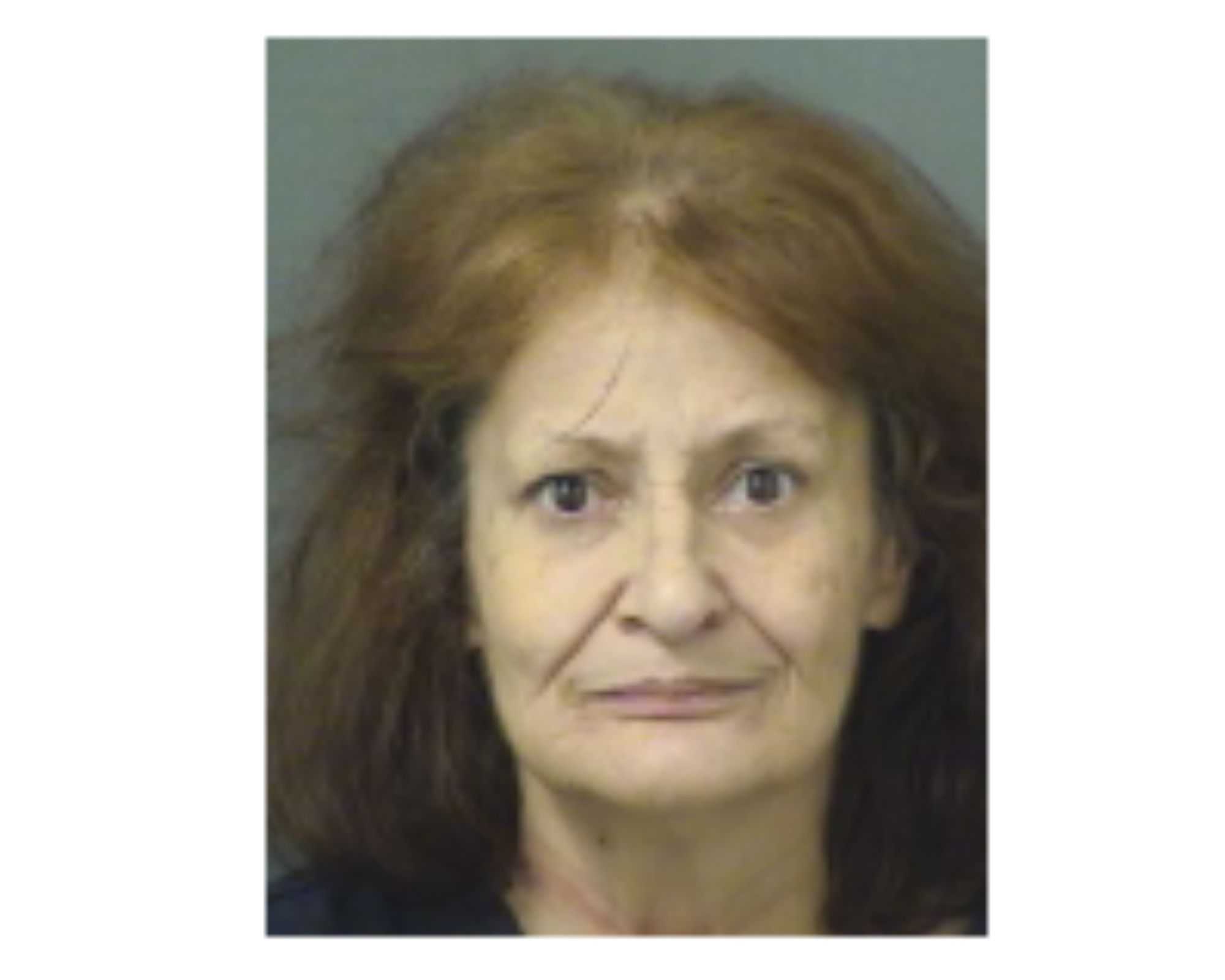Florida woman arrested for driving 125 mph on turnpike