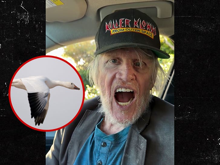 Gary Busey loudly honks like a goose in bizarre holiday video
