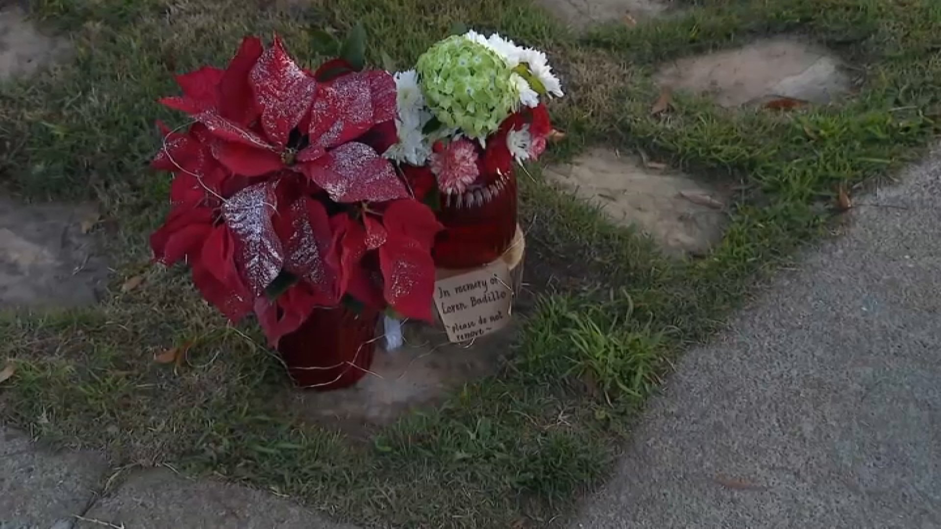 Grieving roommate now prime suspect in deadly San Jose hit and run
