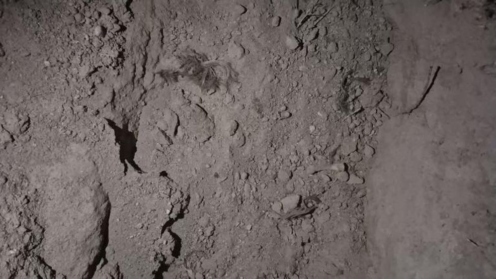 Skeletal remains found in shallow grave off I-80 in Elko County, Nevada