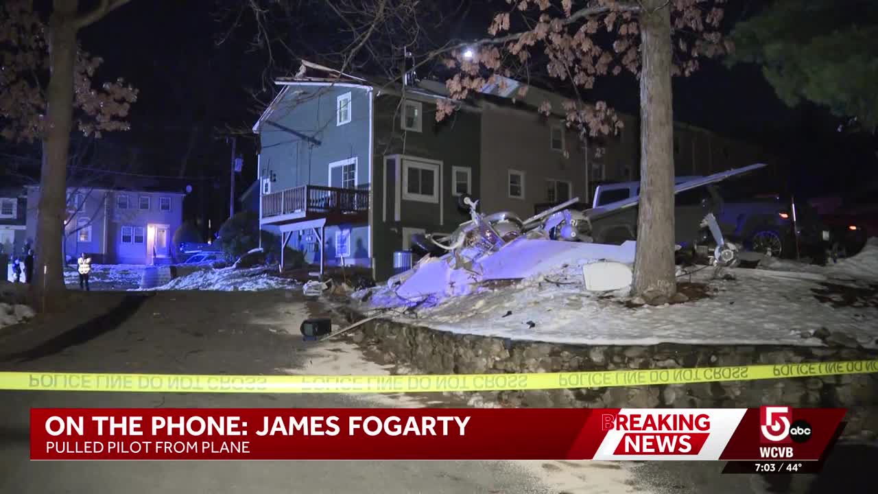 Witness who pulled pilot from plane crash shares story
