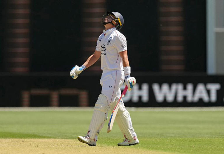 Cricket-Australia bowled out for 371 in first innings of third Ashes Test