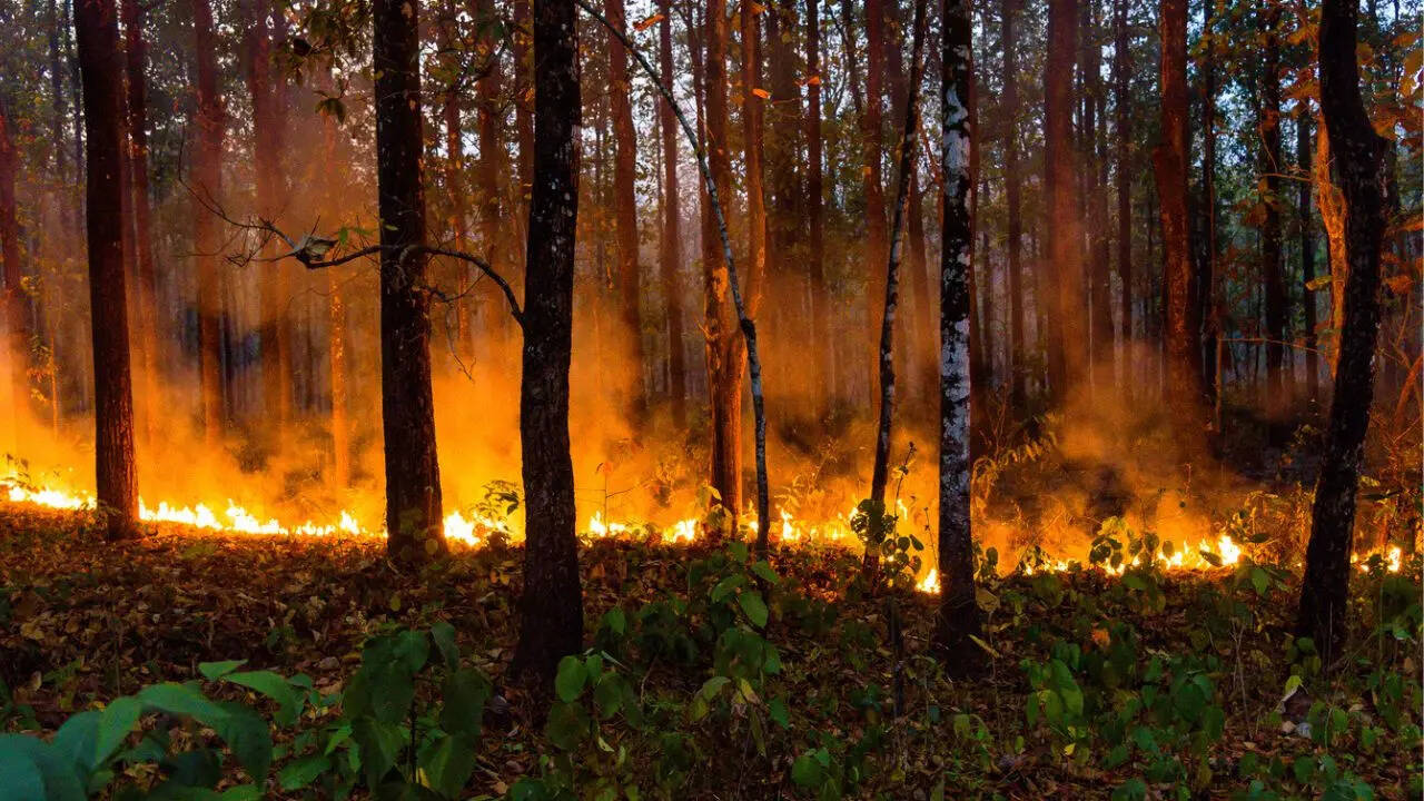 Cheyenne fire: Massive grass blaze raging near Winchester Hills — check ...