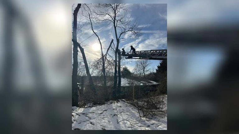 Firefighters rescue arborist stuck in tree in Riverside