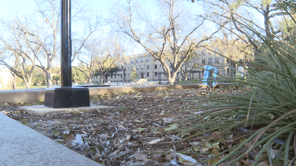 Massive rise in college freshmen unable to do basic math leaves ...