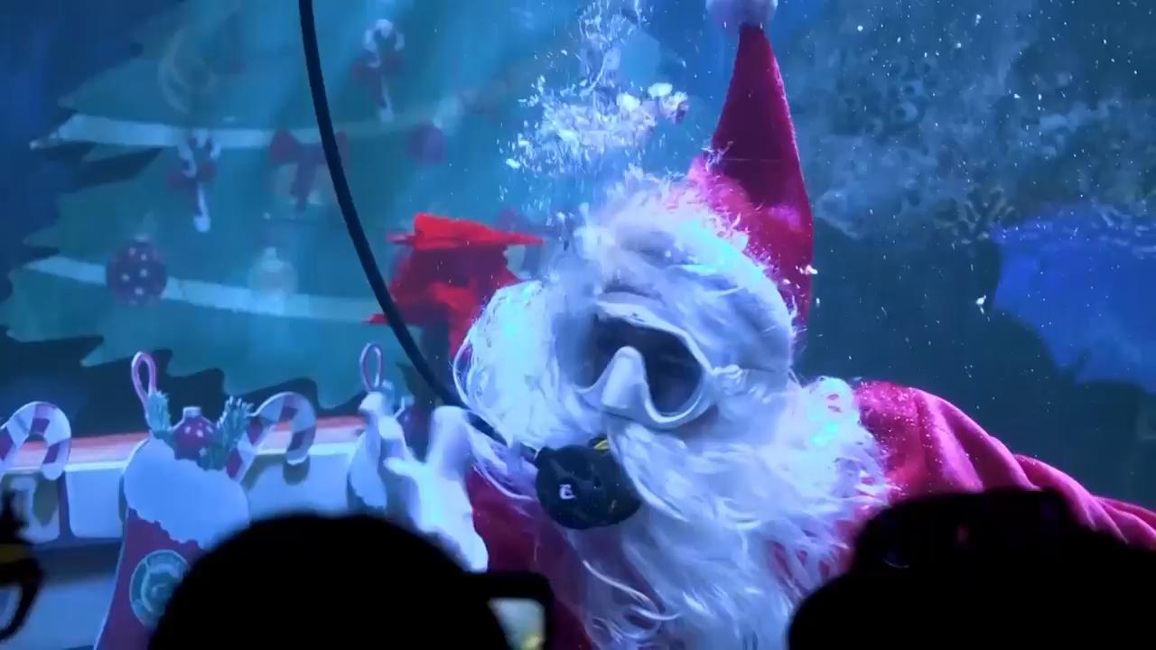 Underwater Santa Claus brings season's greetings and a message of ...