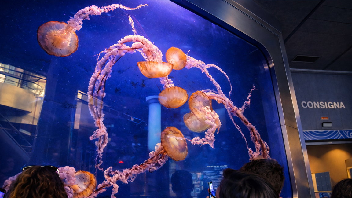 Inside Europe’s largest marine park