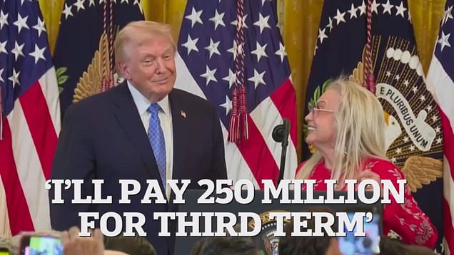 Trump donor offers 250 million dollars for him to run for third term