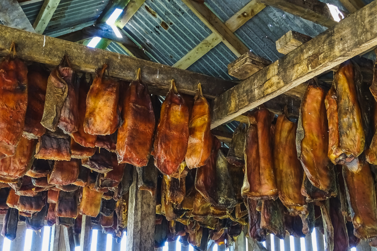 Mengenal hakarl, kuliner tradisi hiu fermentasi unik dari Islandia