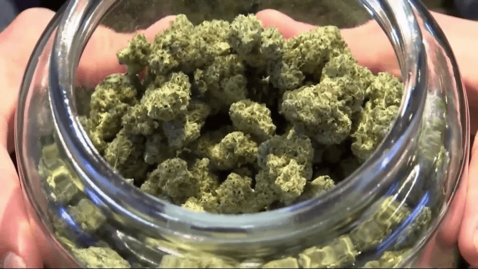 Grand Traverse County allocates $500K from marijuana sales to nonprofits