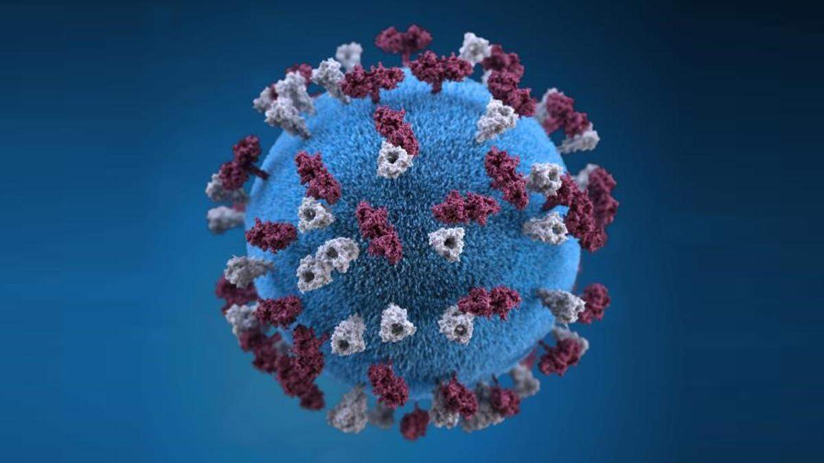 Measles case detected in SLO County. How to stay safe from 'highly ...