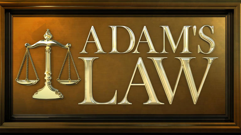 Judge Judy's former district attorney son gets his own courtroom TV ...
