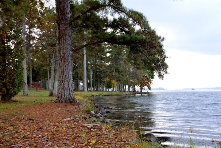 The top fishing town in every American state