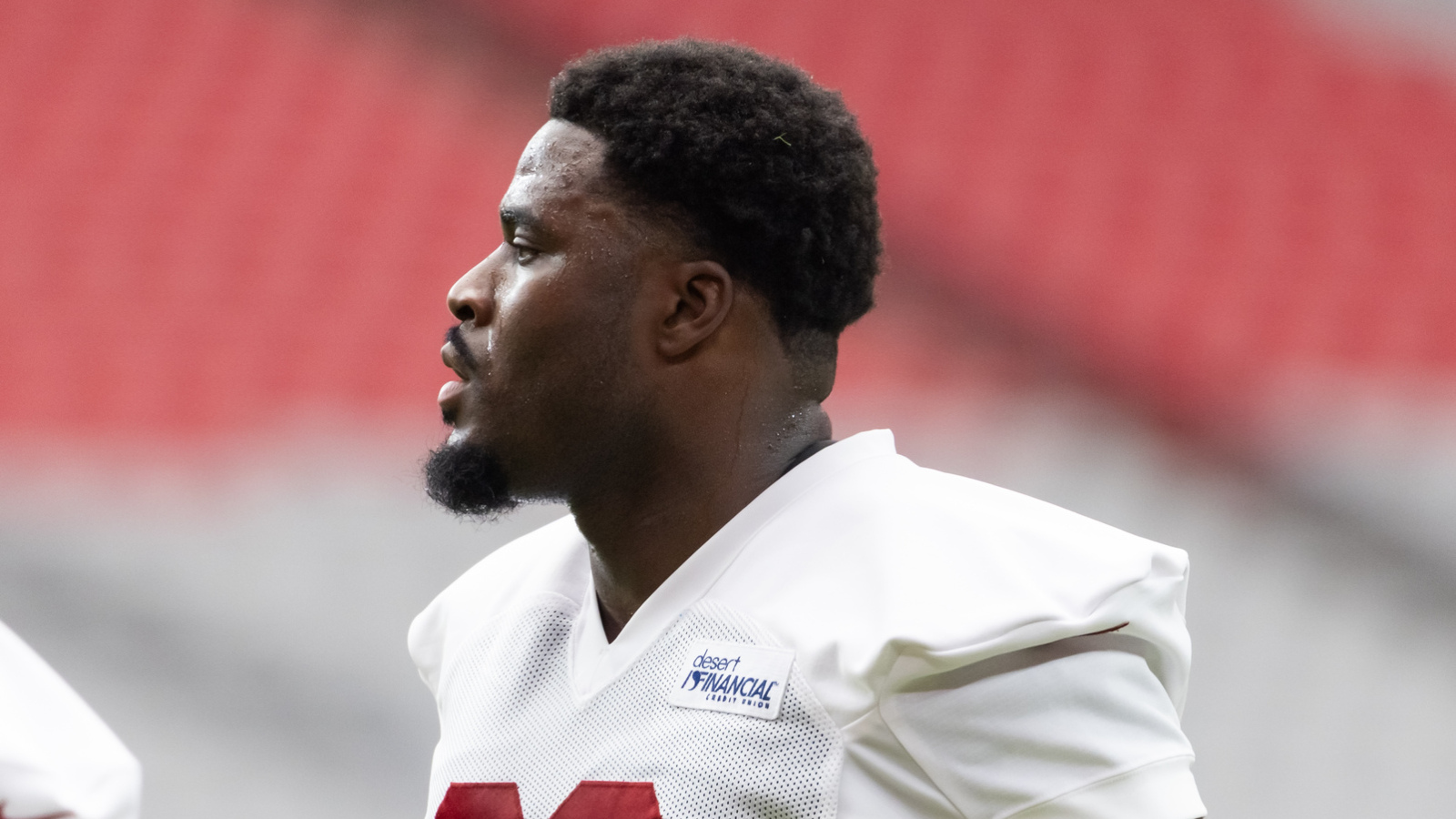 Cardinals waive DT Justin Jones from IR