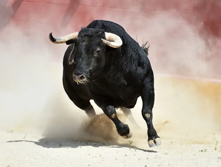 Growth, retention, accuracy: New report paints bullish future for ...