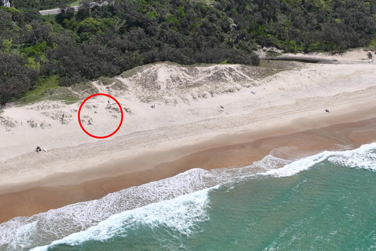 Fresh warning over common beach act as Aussie descend on popular ...