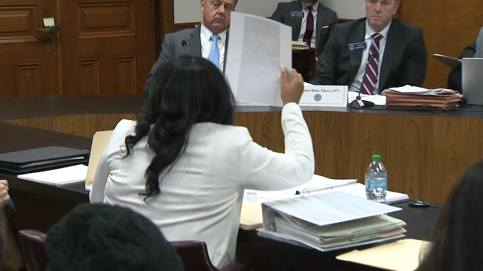 'You want something to investigate?' DA Fani Willis testifies, defends ...