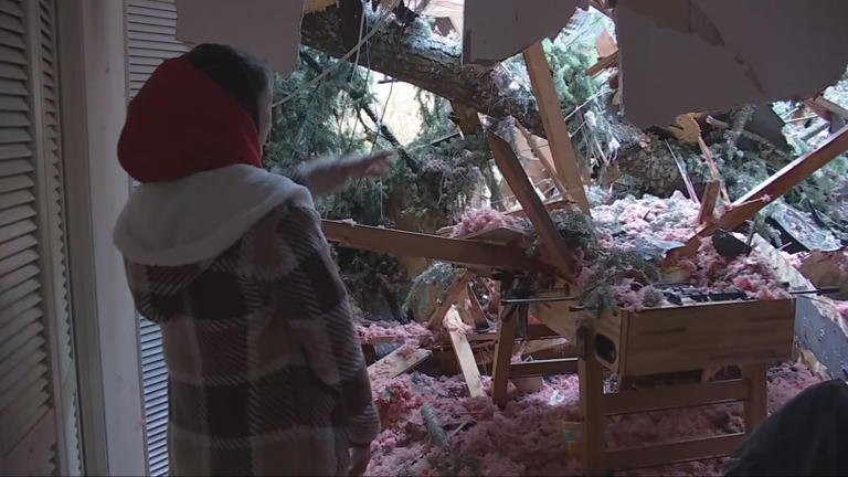 2 teens escape Spanaway home nearly split in half by fallen tree