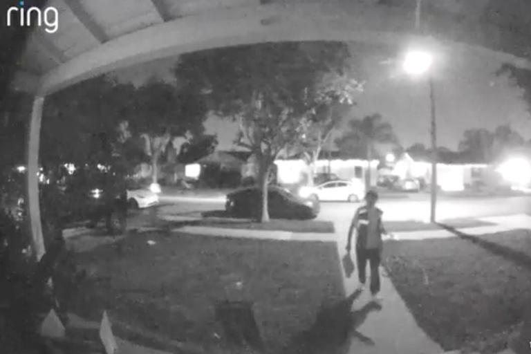 Amazon driver caught on camera stealing cat after dropping off package