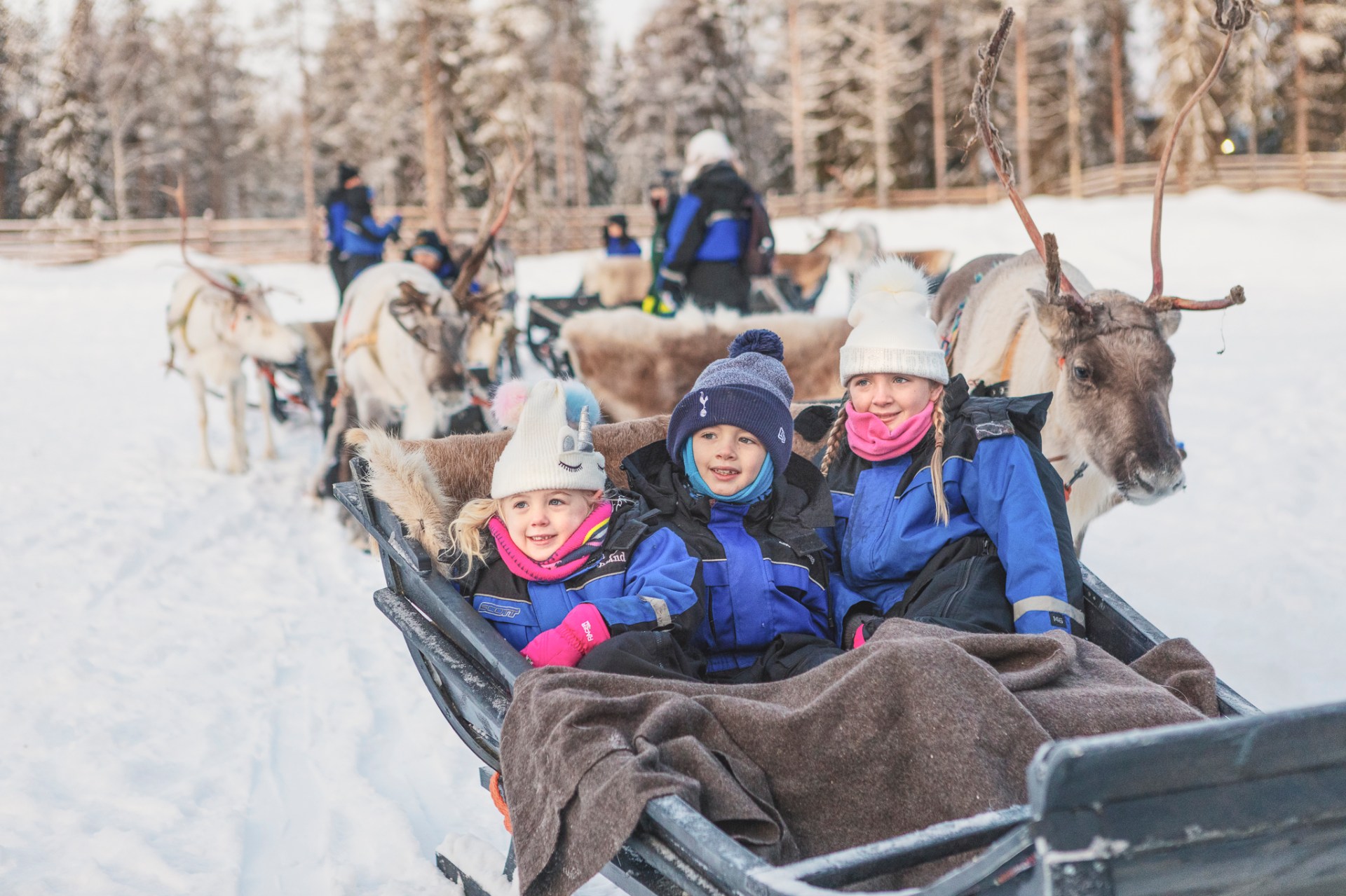 A day trip to Lapland: Magic, meltdowns and memories