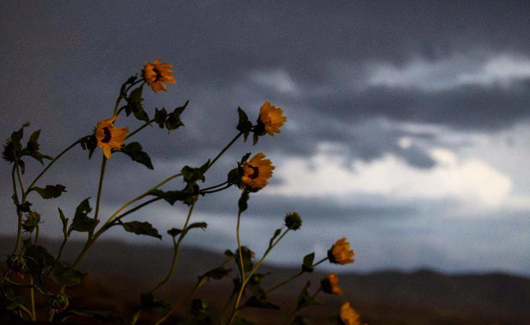 Rain headed to Boise, with chance of thunderstorms. How long will ...