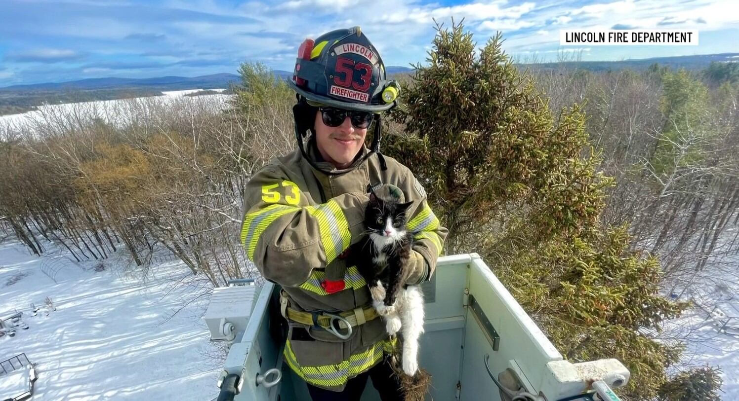 New firefighter makes the purr-fect rescue
