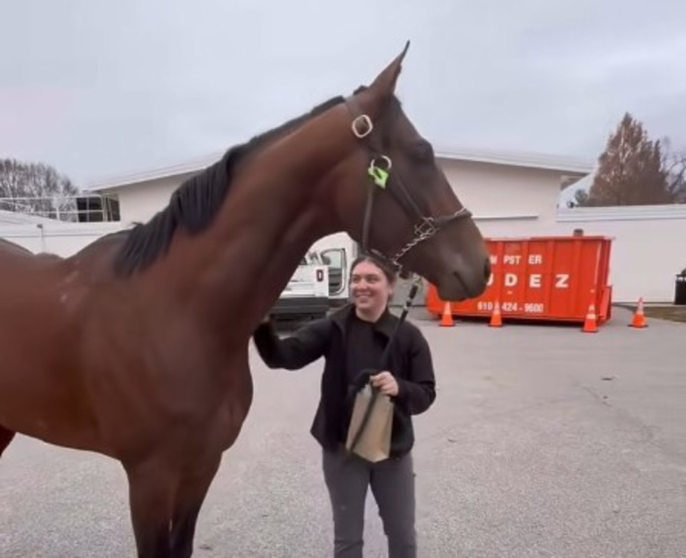 HISA's new retirement program to take ownership of horse 'banned from ...