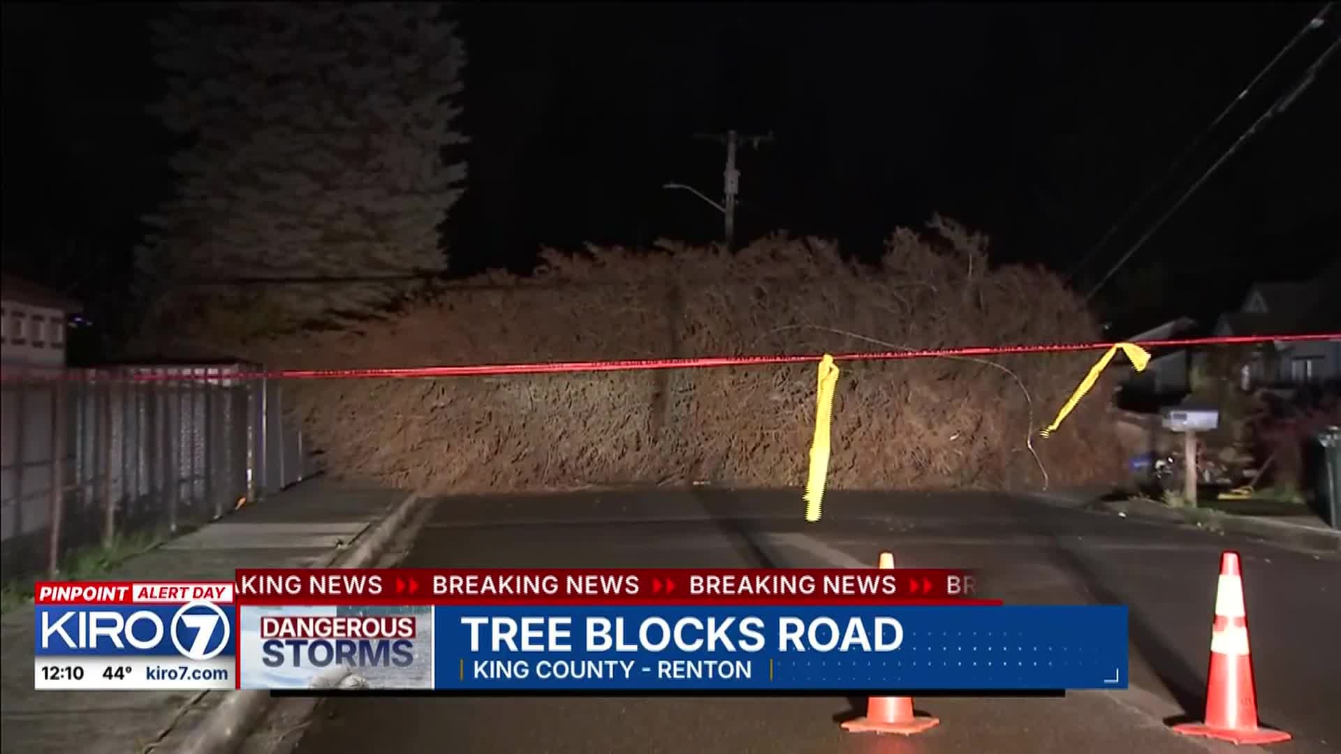 Large tree knocks out power to several homes in Renton